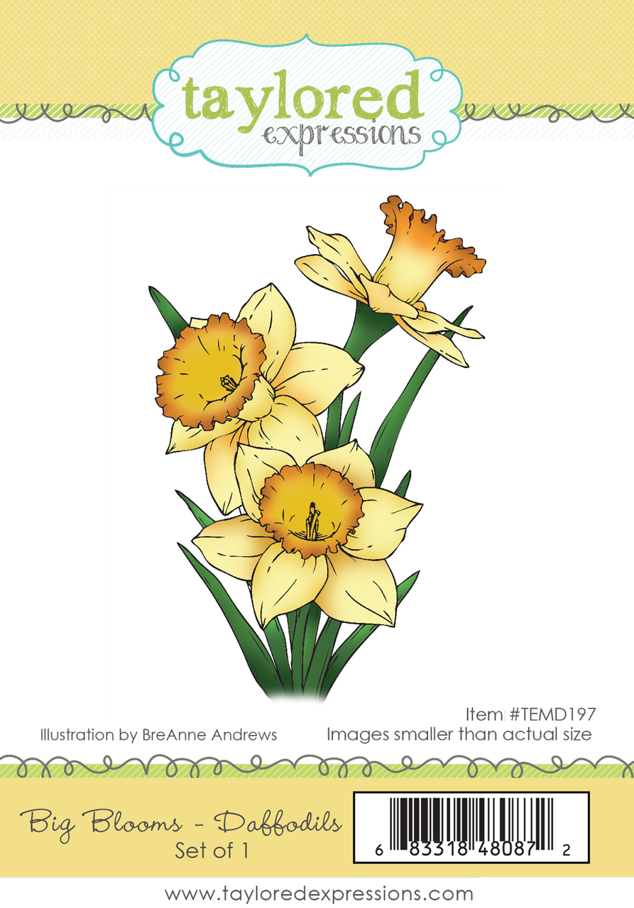 Taylored Expression - Big Blooms - Daffodils Die, Taylored Expressions ...